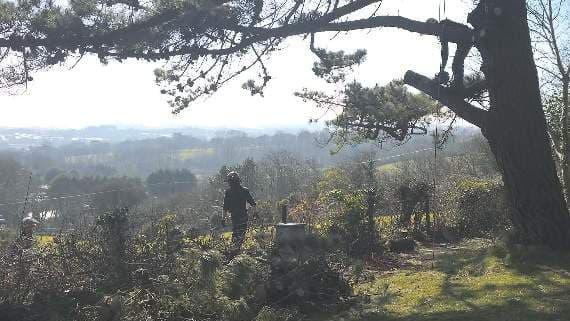 Trees get the chop at Allens View | tenby-today.co.uk