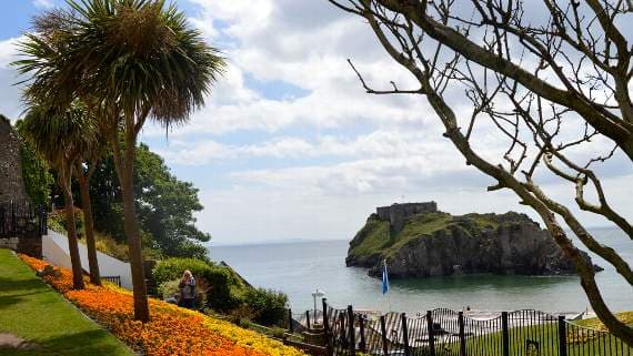 Tenby in bloom poster winners | tenby-today.co.uk