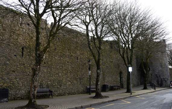 Overgrown Tenby trees to be trimmed? | tenby-today.co.uk