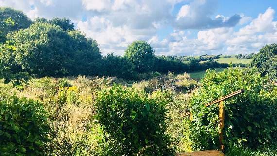 Back to Biodiversity ‘Open Day’ in Jameston and Manorbier Newton ...