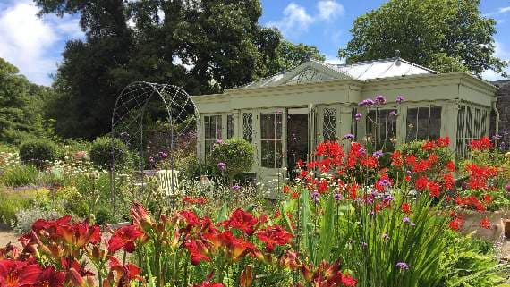 Open gardens at Manorbier and Jameston | tenby-today.co.uk