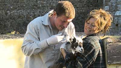 Anna’s Welsh Zoo | tenby-today.co.uk