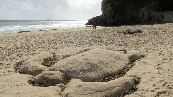 Get building for the Tenby Arts Festival summer sand sculpture ...