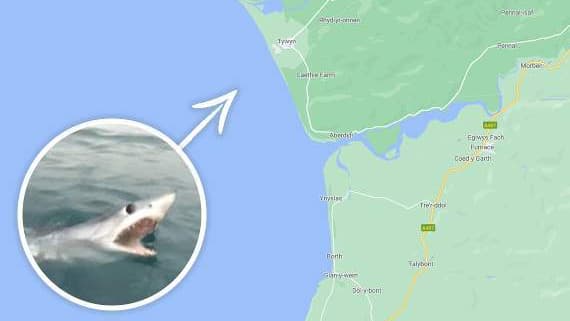 Welsh fisherman’s close encounter with a shark | tenby-today.co.uk