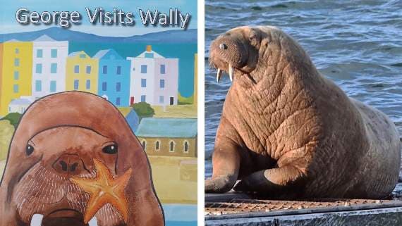 George the bulldog meets Wally the Walrus - in new children's book ...