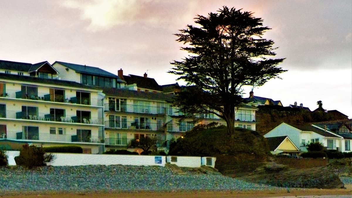 Grant given to Saundersfoot’s ‘Lonely Tree’ | tenby-today.co.uk