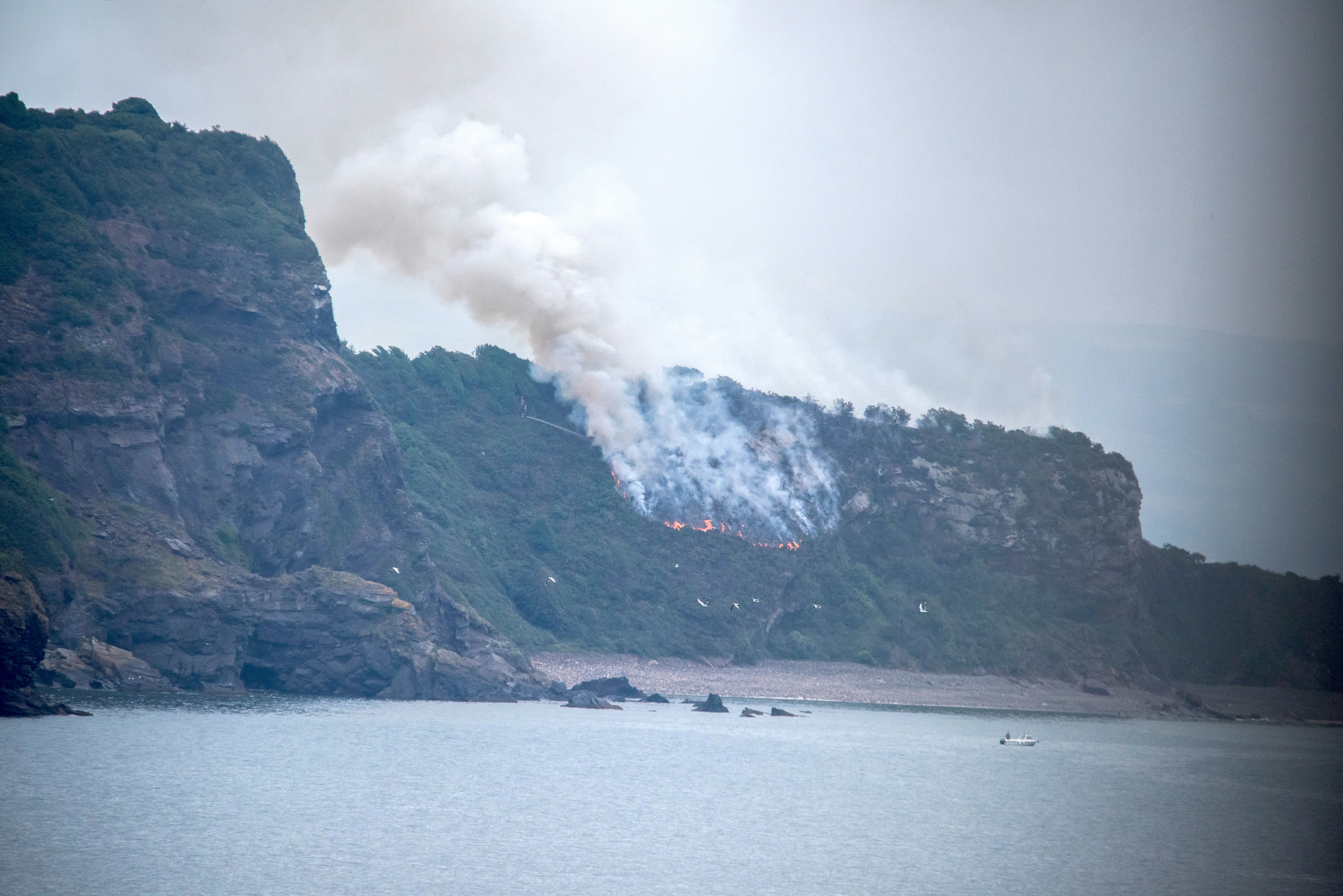 Fire and Rescue Service issue warning of a heightened risk of grass ...