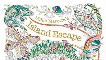 Tenby’s ‘Queen of colouring’ Millie Marotta is back with a new book ...
