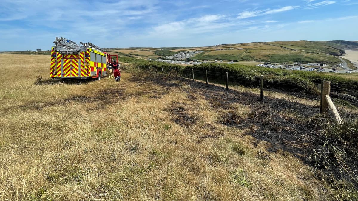 Mid and West Wales Fire and Rescue Service have attended 280 grass ...