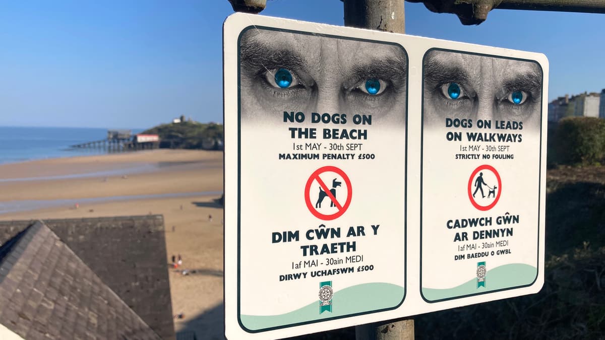 Pembrokeshire Council prefers to ‘educate’ rather than ‘enforce’ dog ...
