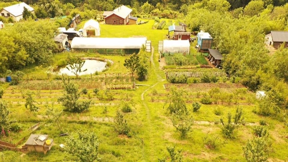 Review of Wales’ One Planet Development policy recommends changes to ...