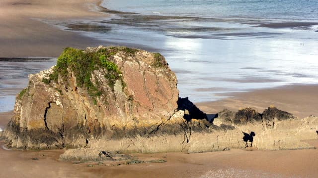 Dragons sighted on Tenby’s Goscar Rock | tenby-today.co.uk