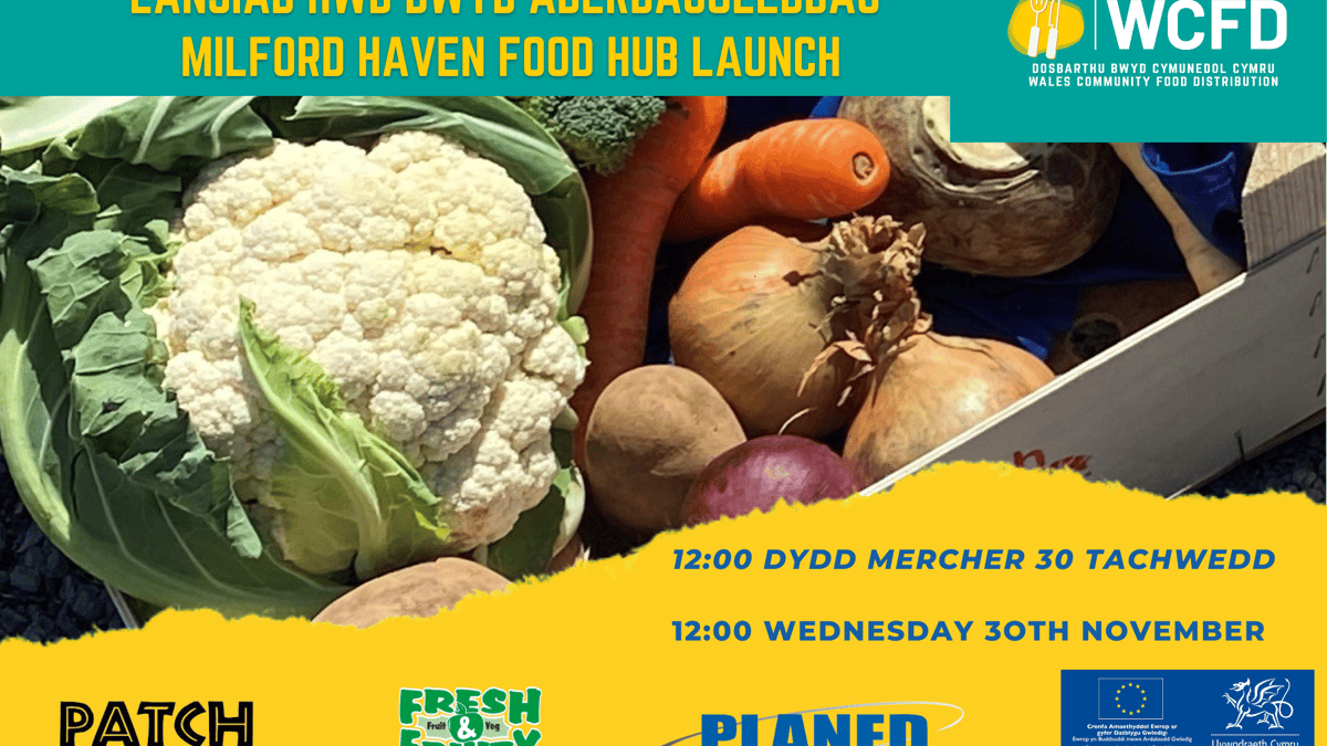 Wales Community Food Distribution launches Milford Haven food hub ...