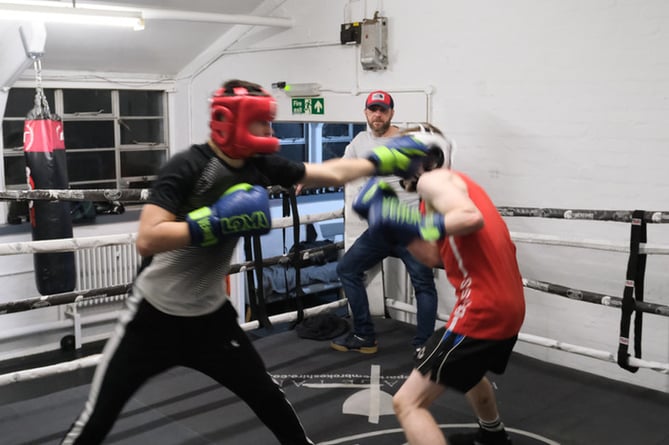 Tenby Sharks get ready for boxing show | tenby-today.co.uk