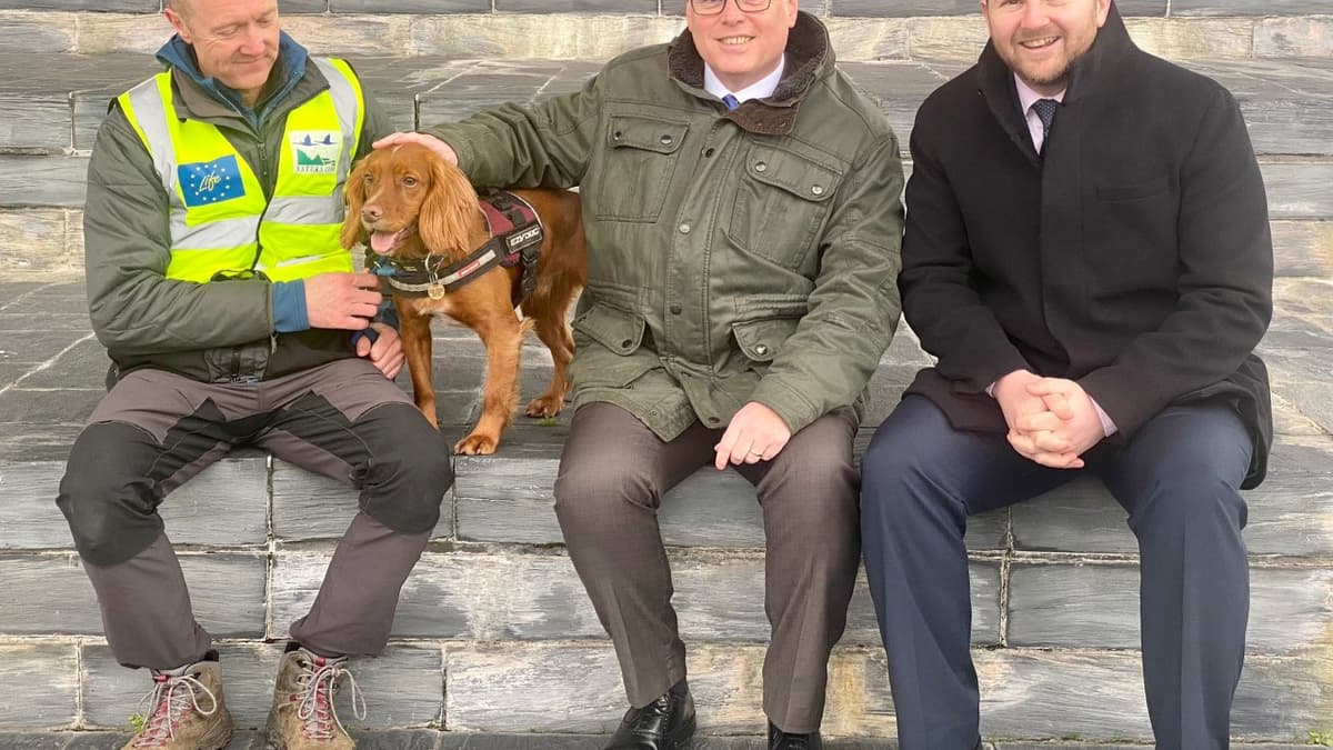 Pembrokeshire politicians welcome Jinx the dog to the Senedd | tenby ...