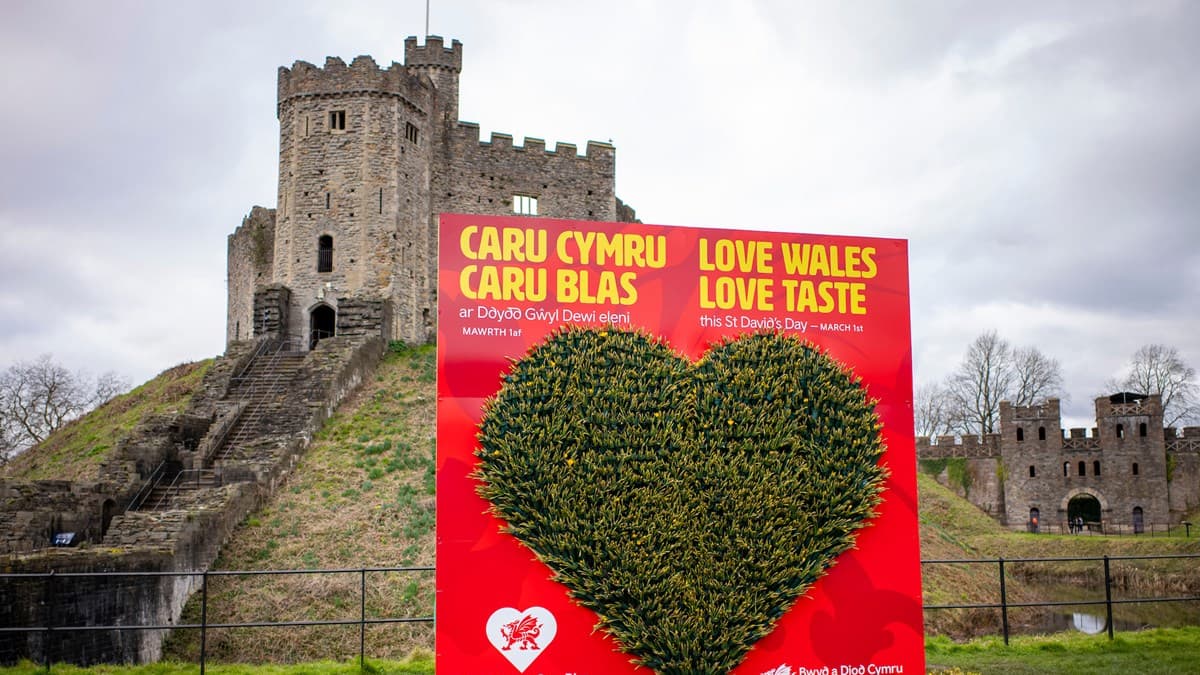 Thousands of Pembrokeshire daffodils help form special St David’s Day ...