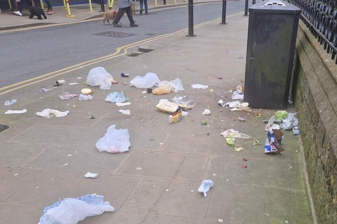 Councillors join forces to call on Local Authority to tackle littering ...