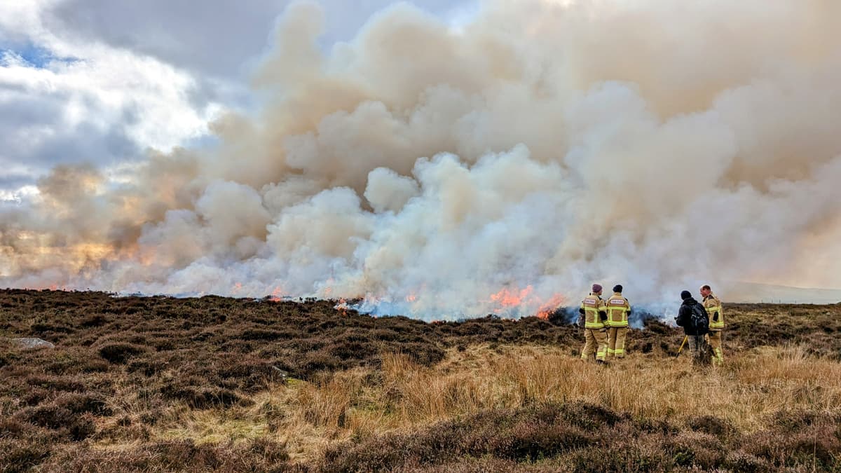 Pembrokeshire Community Fire Safety team prepares for a wildfire summer ...