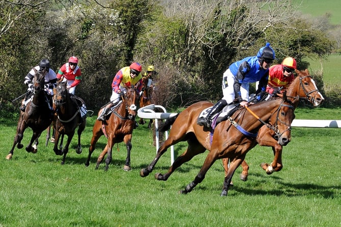 75 years of Point to Point races at Lydstep | tenby-today.co.uk