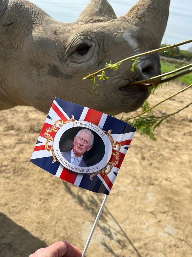 Folly Farm's mix of animals get ready for King's Coronation! | tenby ...