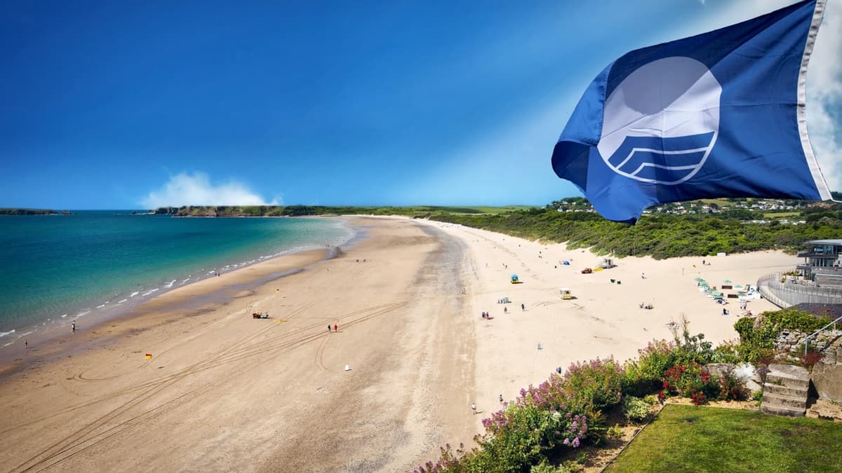 Welsh Water's ‘systemic failures’ poses significant threat to public ...