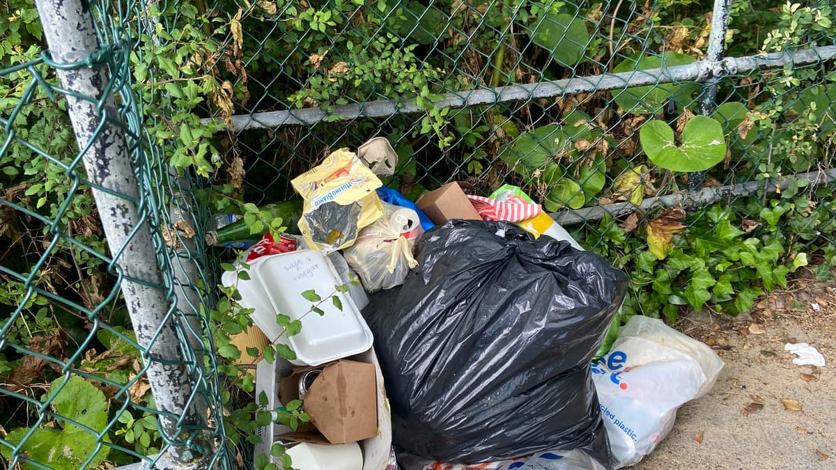 Seaside streets strewn with litter - Pembrokeshire's flytipping ...