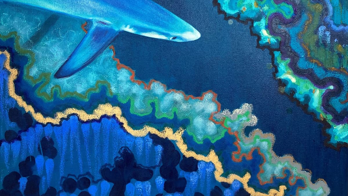 Vibrant new exhibition opens at Tenby Museum and Art Gallery | tenby ...