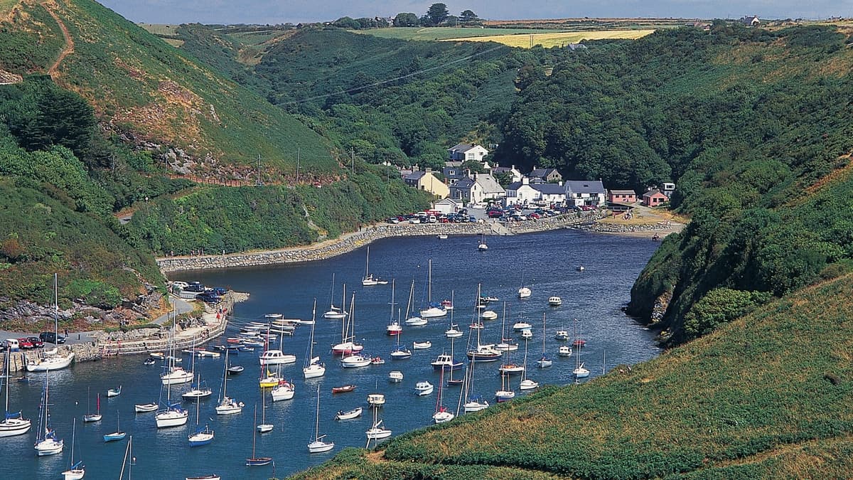 Solva GP Surgery looks forward to new era for staff and patients ...