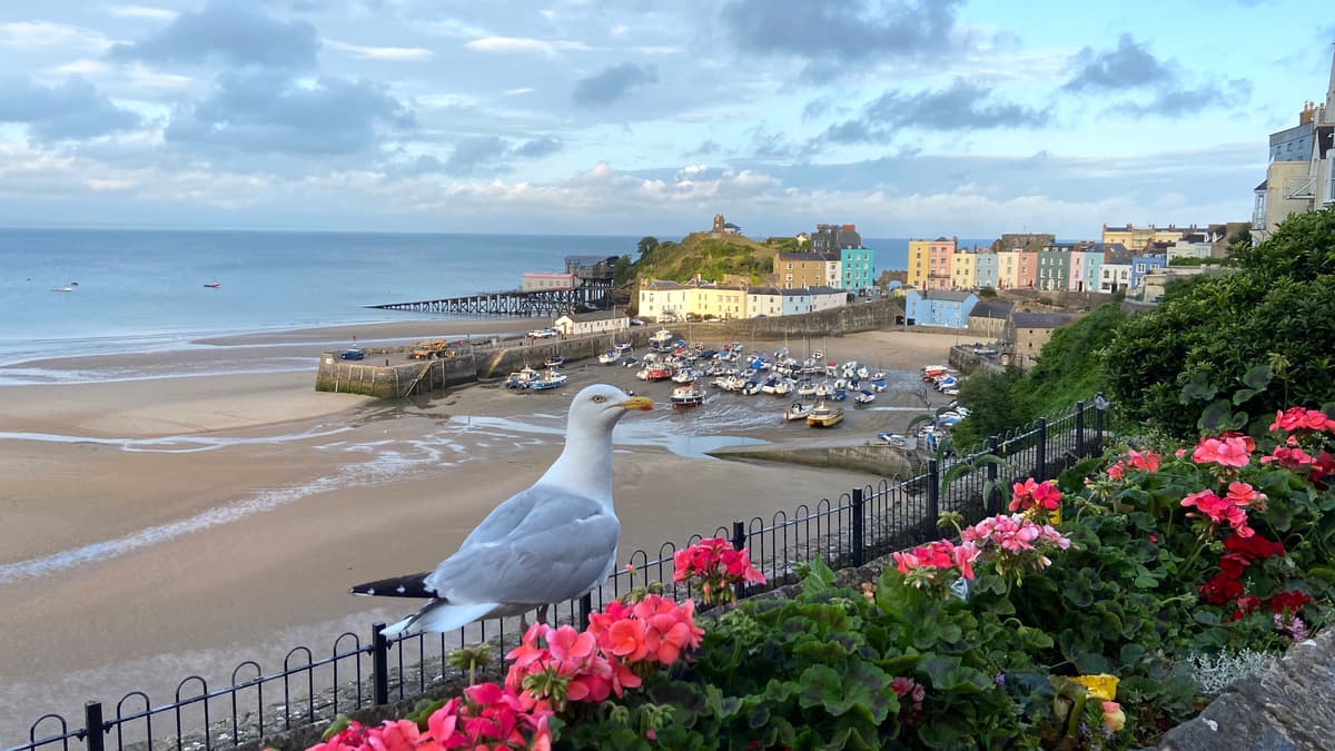 Tenby tops TikTok list amassing 31.4m views! | tenby-today.co.uk