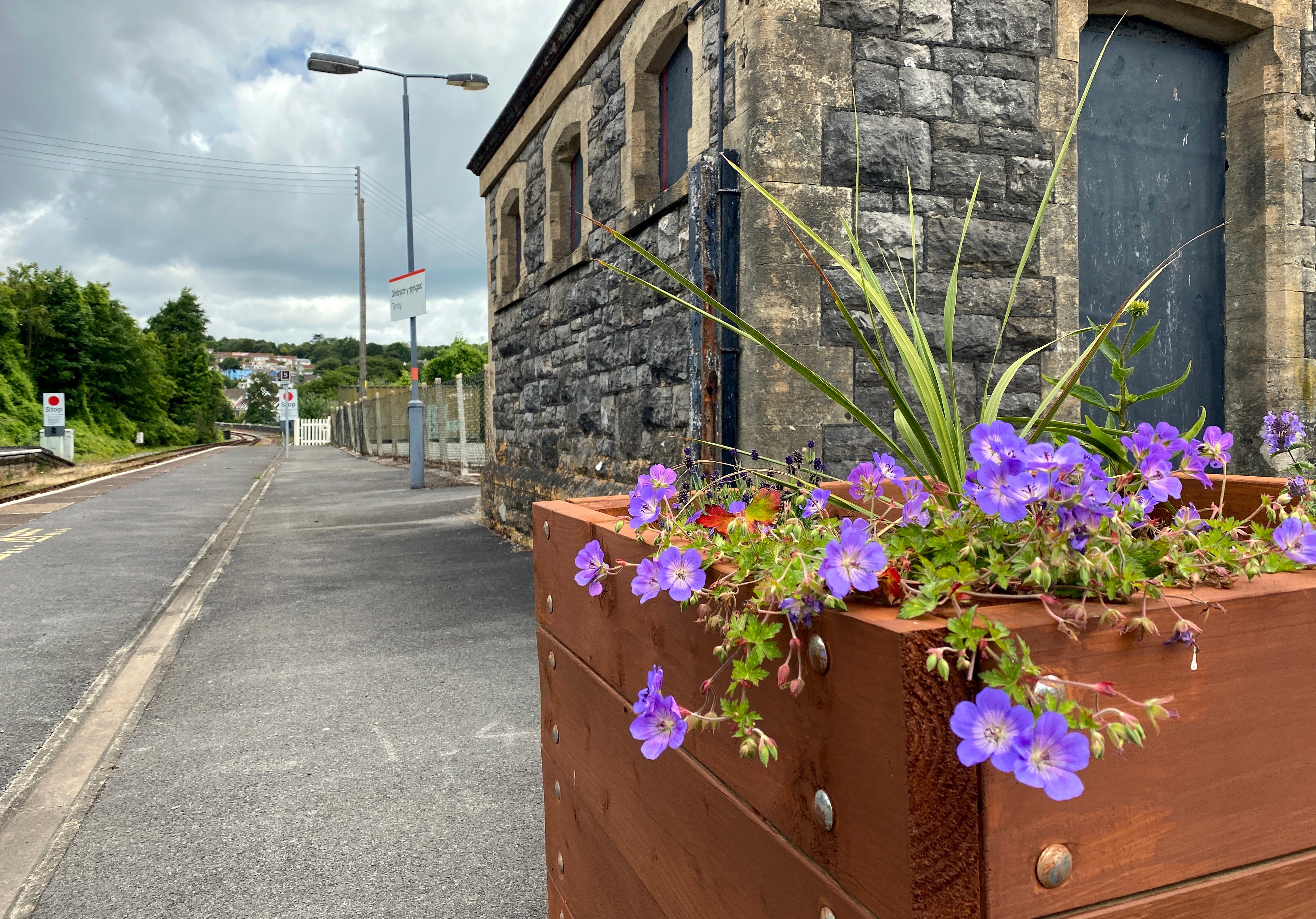 Tenby Observer - local news at the heart of the community