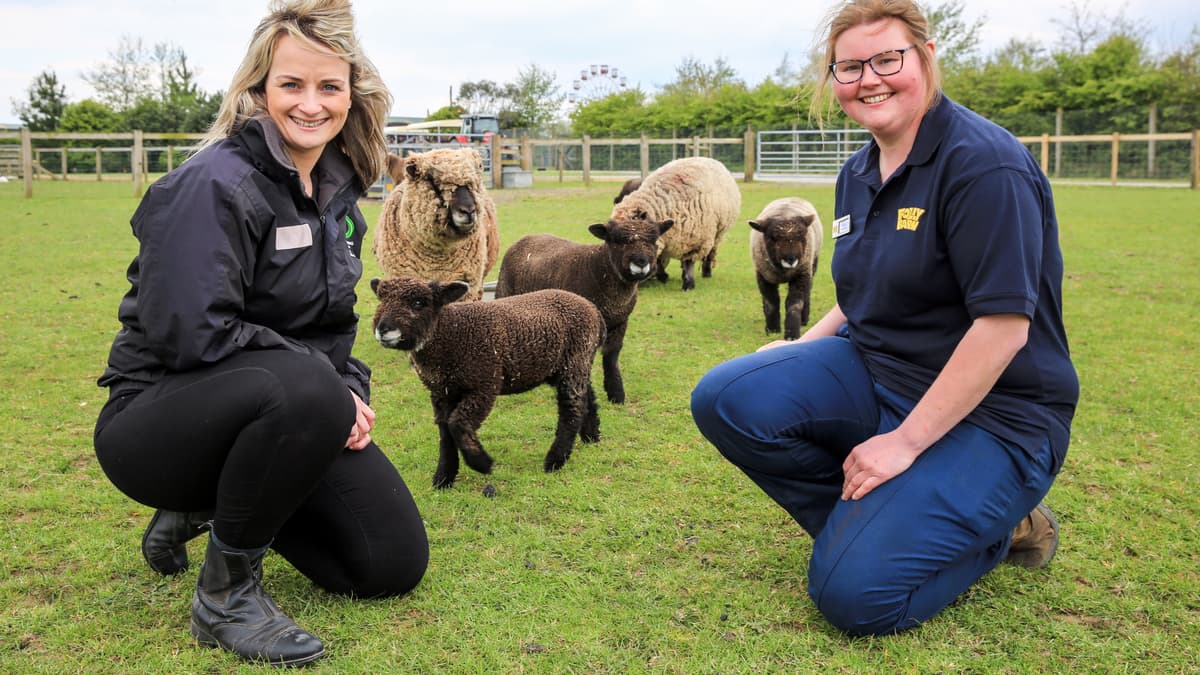 First things first - Farming Connect’s new mandatory e-learning courses ...