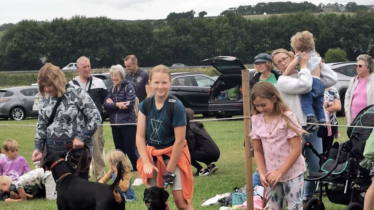 70th Martletwy and District YFC Show will offer fantastic day out for ...