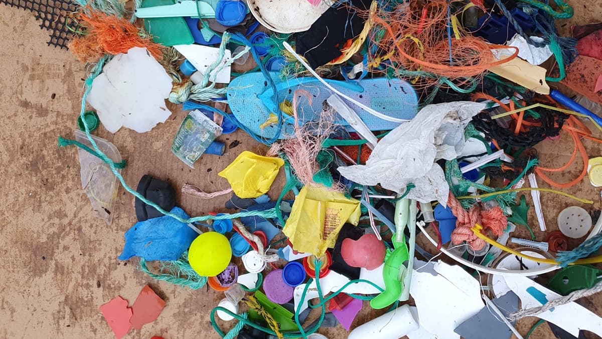 Saundersfoot beach clean throws up plethora of plastic and objects ...