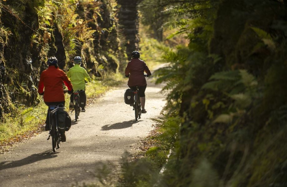 Disused Cardi Bach railway line could become new walking and cycling ...