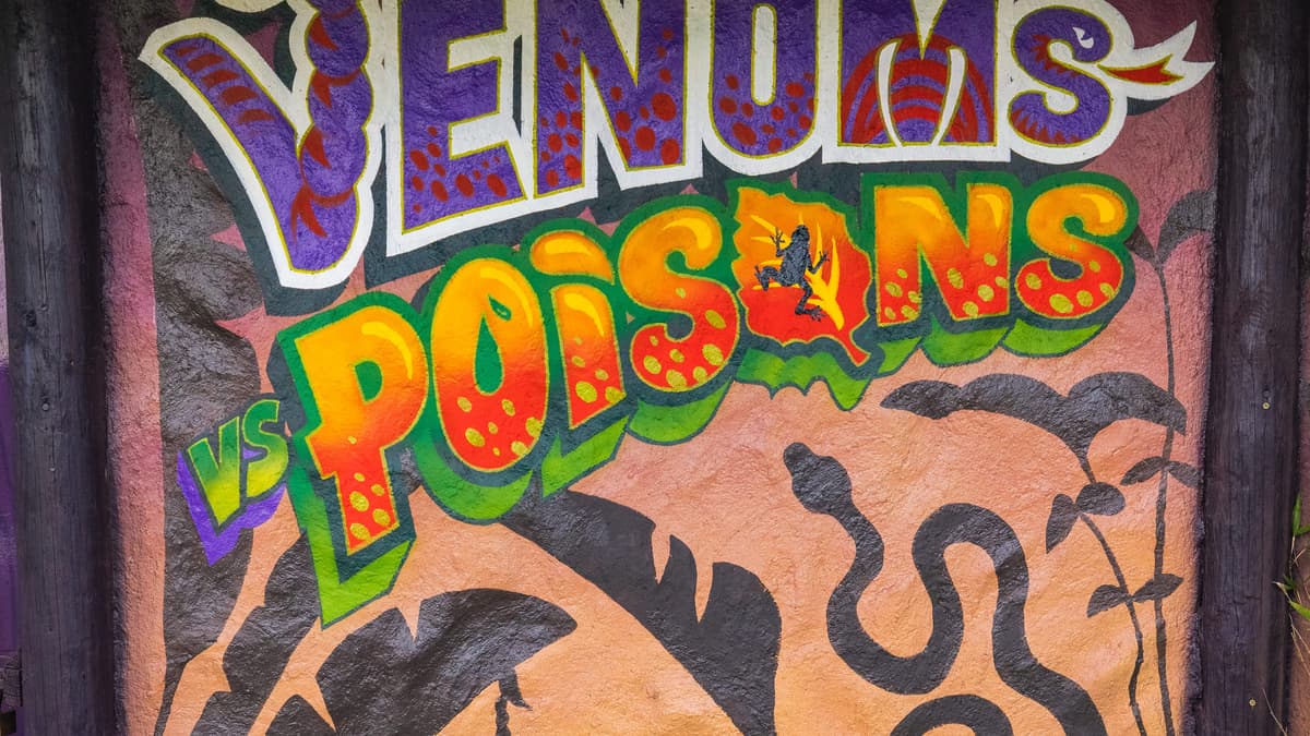 Take a sneak peek at Folly Farm’s new zoo exhibit set to open for half ...