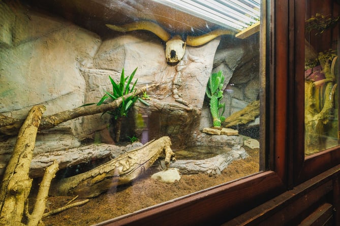 Take a sneak peek at Folly Farm’s new zoo exhibit set to open for half ...