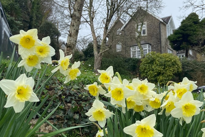 Penally Abbey Hotel named The Times and Sunday Times ‘Best Place to ...