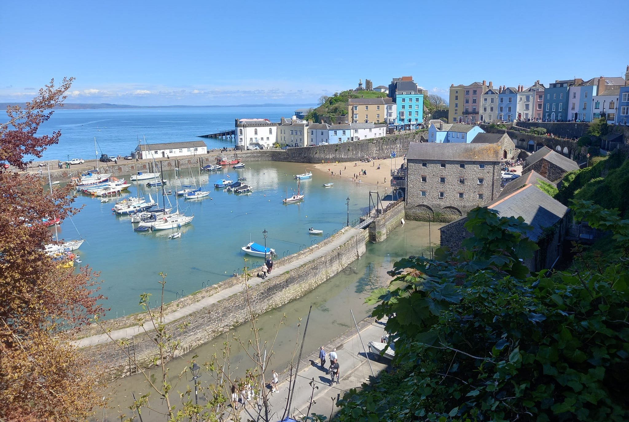 Picture This - the latest reader shots of Tenby | tenby-today.co.uk