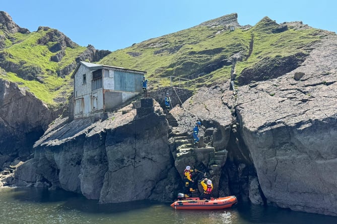Tenby RNLI rescue dog that fell 250ft off coastal cliffs | tenby-today ...