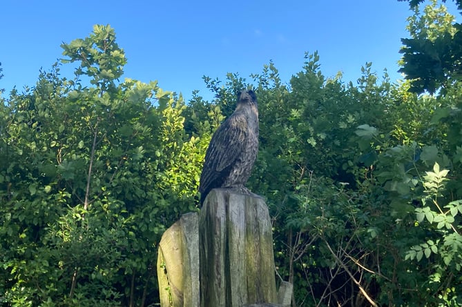 Tenby’s most tranquil garden receives a roaring boost from Lions ...