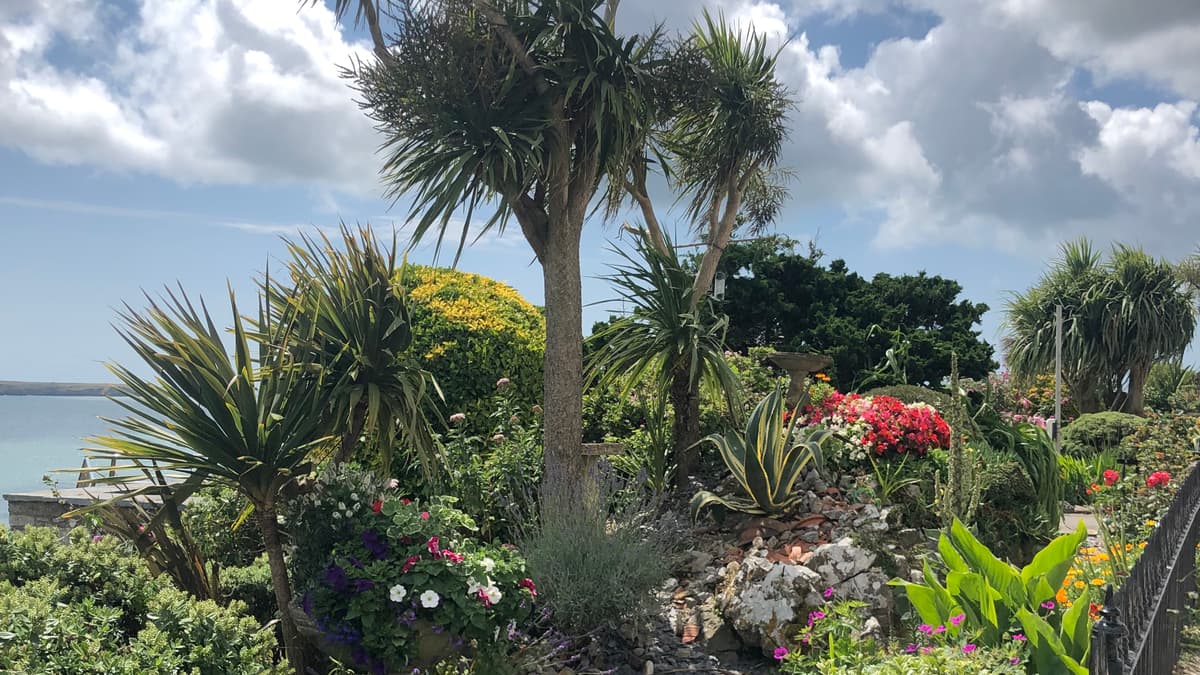 Tenby in Bloom is back to brighten up the seaside town! | tenby-today.co.uk