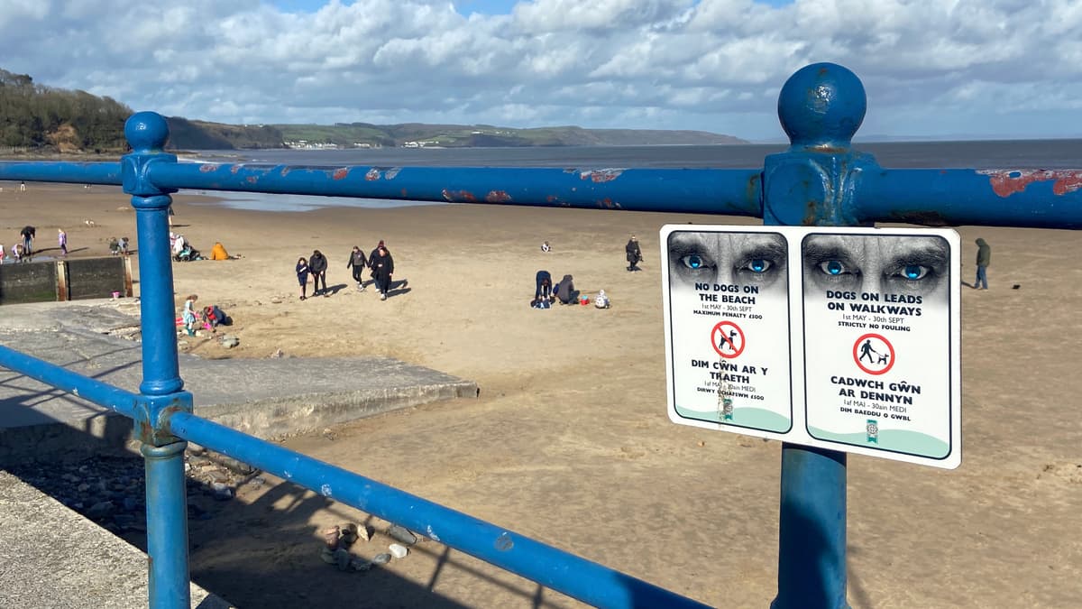 Dog owners fined for bylaw breaches on beaches | tenby-today.co.uk