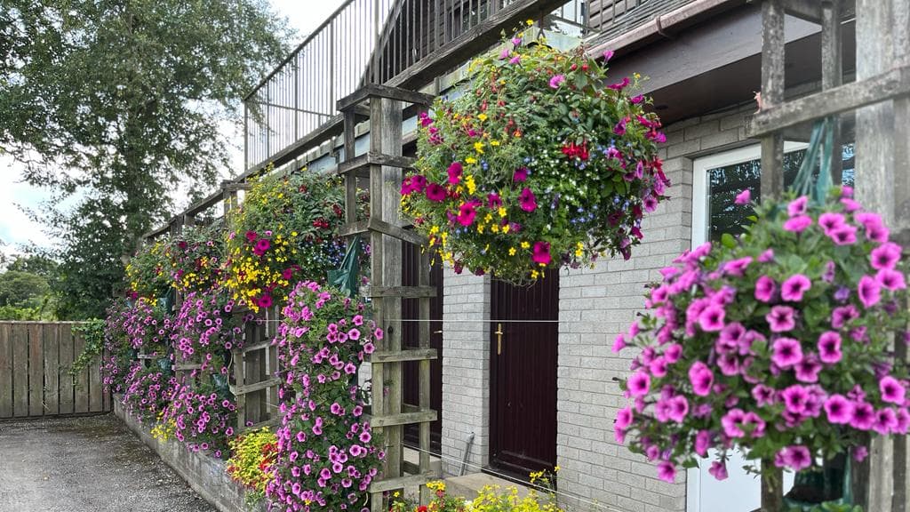 Get your fingers green for this year's Saundersfoot in Bloom ...