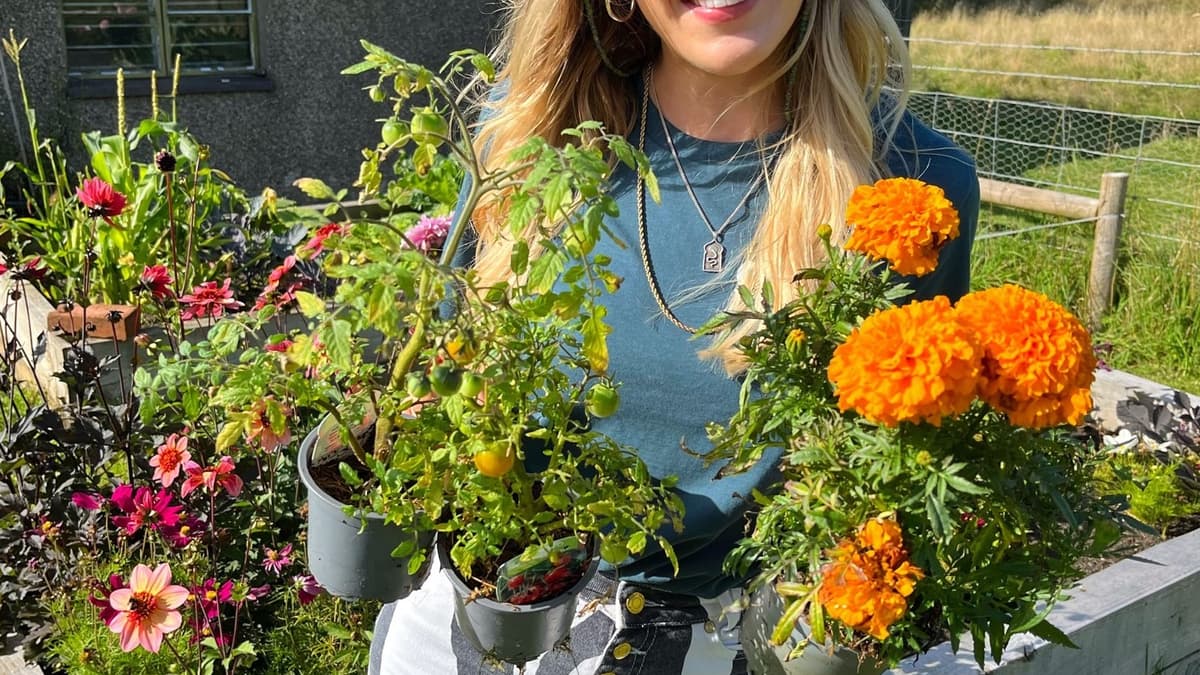 TV gardener calls on people of Wales to reduce pesticide use to protect ...