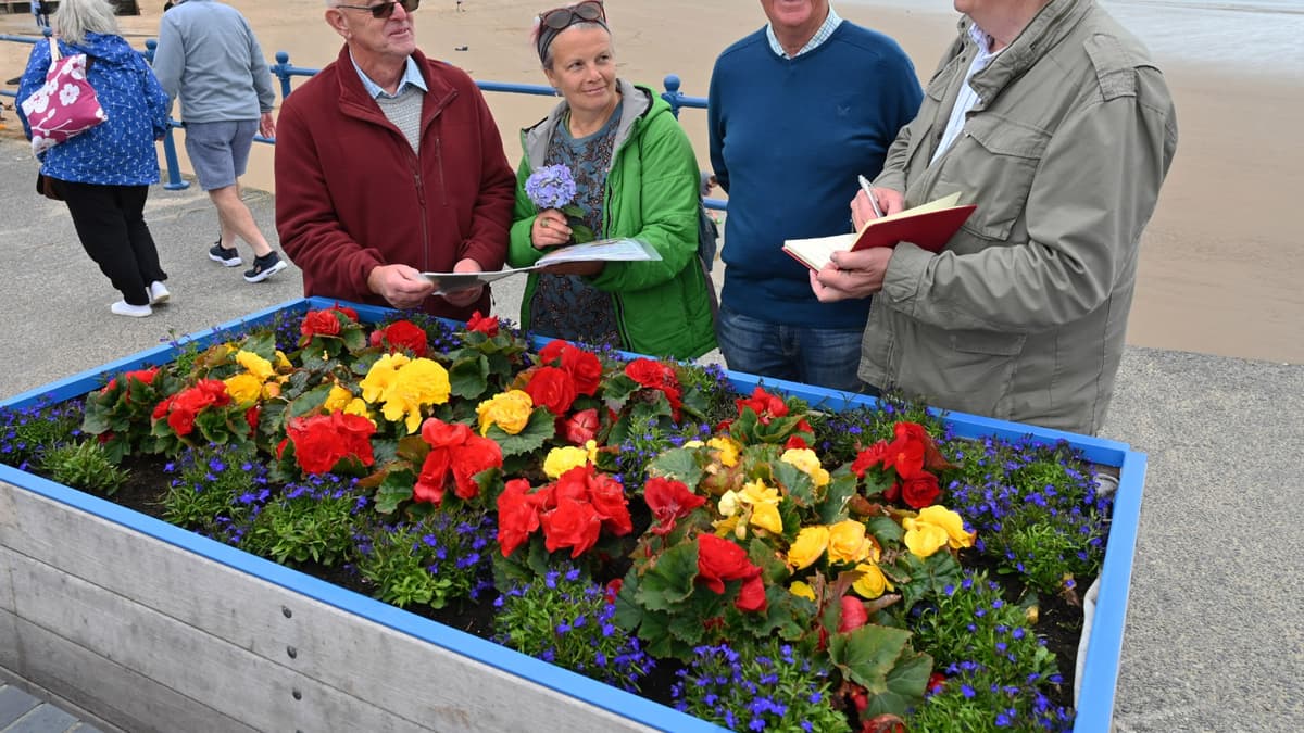 Saundersfoot gears up for 60th anniversary of 'Britain in Bloom ...