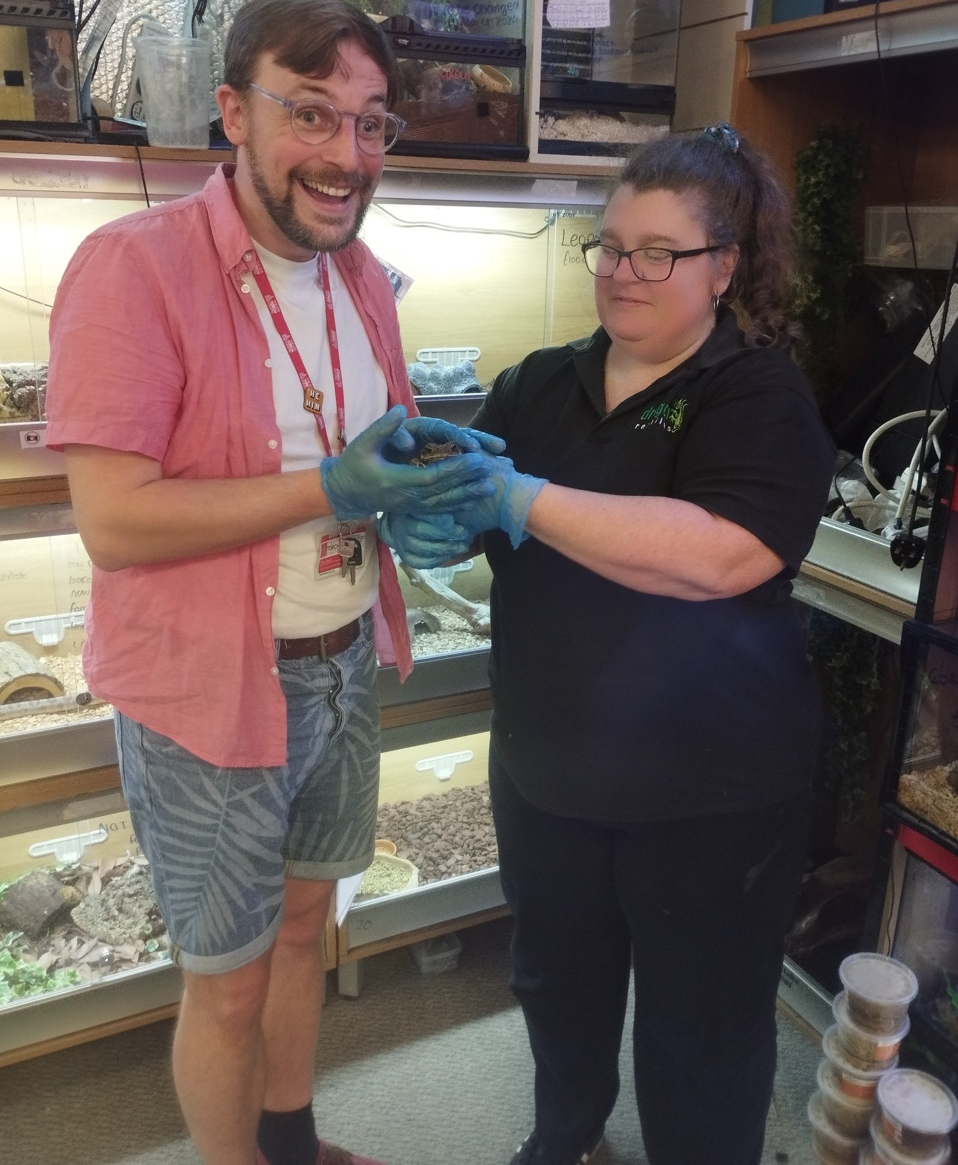 Torch Theatre borrows real toad while Youth Theatre performs Wind in ...