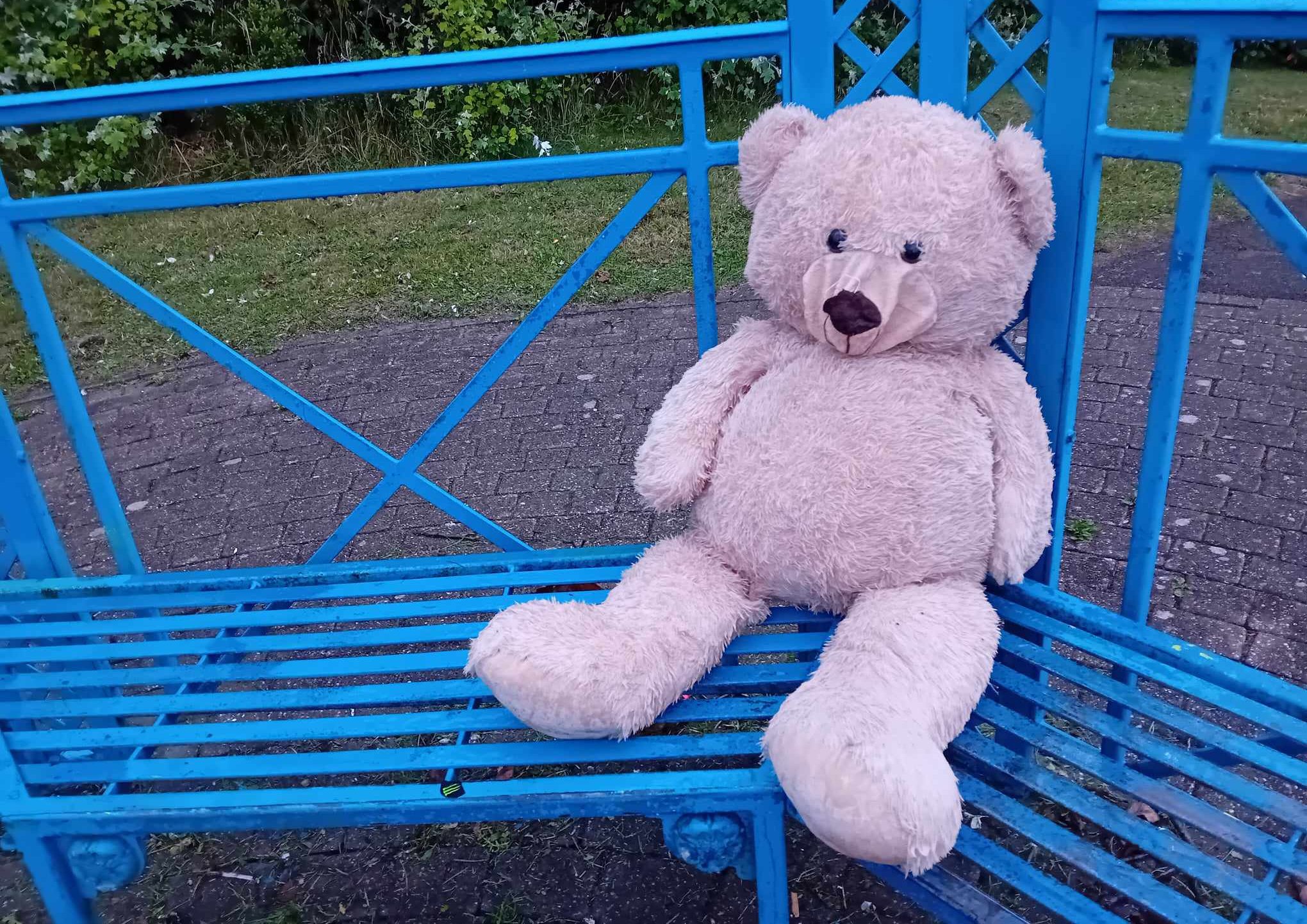 Tenby Observer - local news at the heart of the community