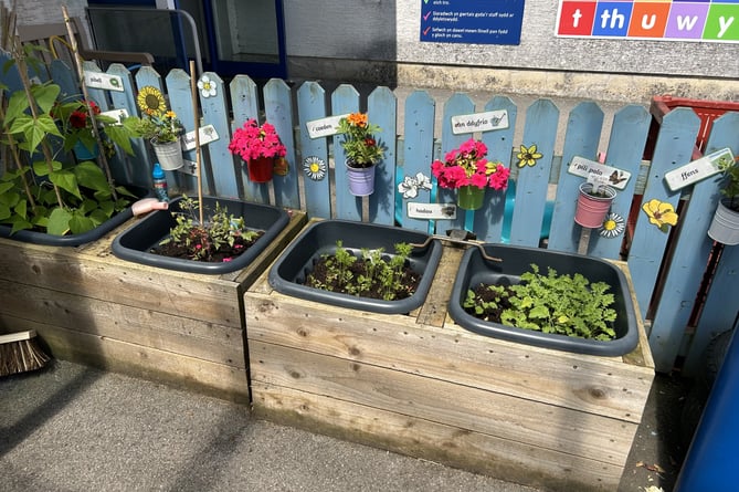 2024 Tenby in Bloom results revealed | tenby-today.co.uk