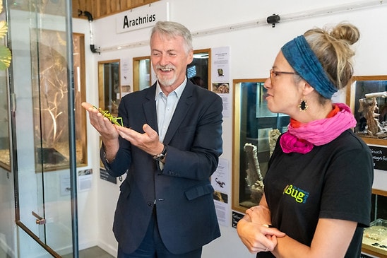 Buzzing about bugs in Pembrokeshire | tenby-today.co.uk