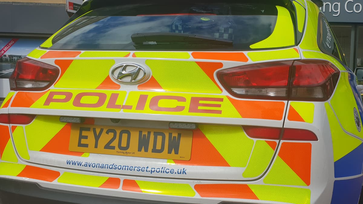 914 cannabis plants found in Neyland police operation | tenby-today.co.uk